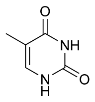 Thymine - New World Encyclopedia