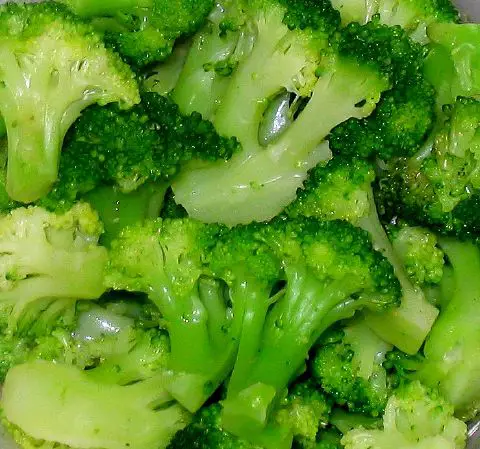 Broccoli - New World Encyclopedia