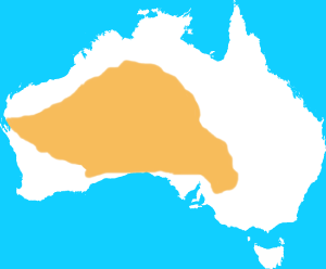 Peramelemorphia - New World Encyclopedia