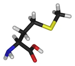 Methionine - New World Encyclopedia