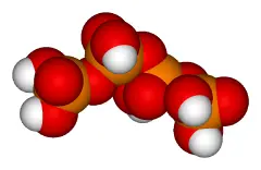 Phosphoric acid - New World Encyclopedia