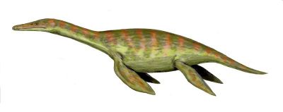 Pliosaur - New World Encyclopedia