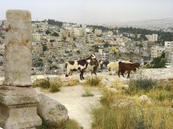 Amman - New World Encyclopedia