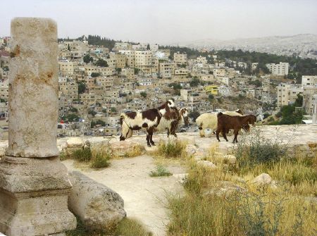 Amman - New World Encyclopedia
